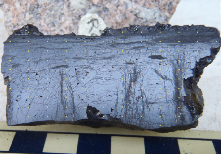 Coal Structure - Sigra